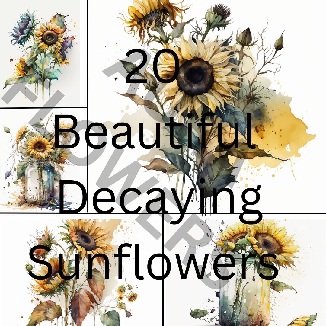 Watercolor Floral Sunflowers Clipart Summer Flowers, Fall Flowers, PNG ...