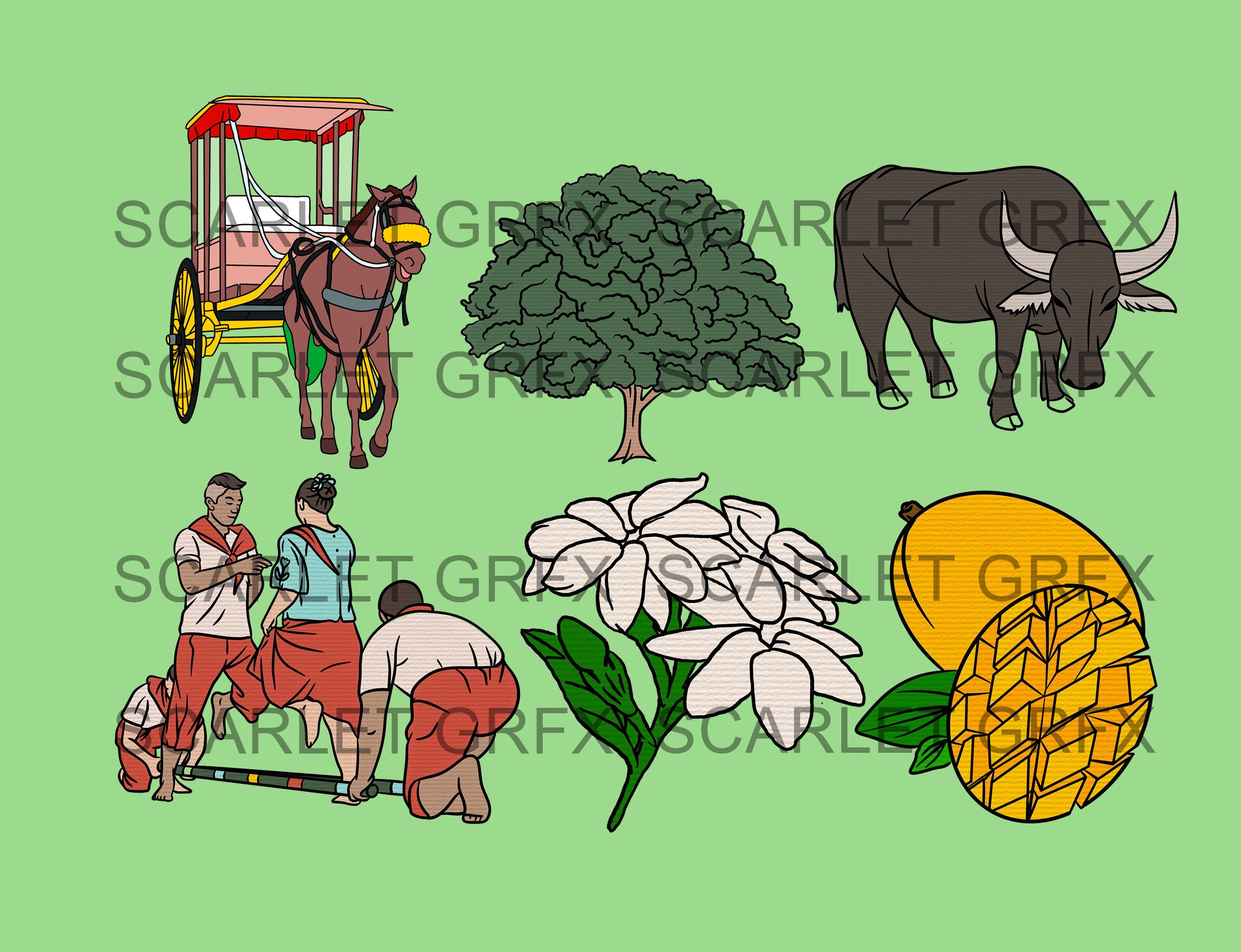 Philippine National Symbols Clipart PNG | Digital Download | Filipino ...