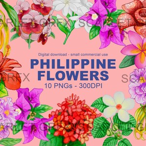 Philippine Flowers Filipino Philippines Cliparts in PNG Digital ...