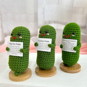 Emotional Support Pickle,positive Pickle,big Fan Pickle,handmade ...