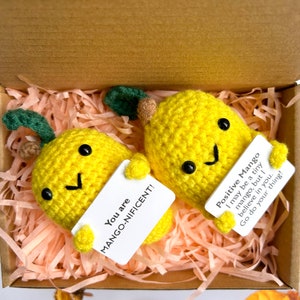 Handmade Crochet Mango-positive Vegetables,emotional Support Mango ...