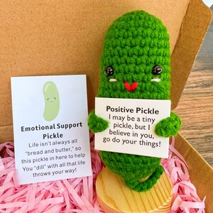 Tutorial Video Guide-pattern Only-emotional Support Pickle-handmade ...