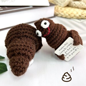 Handmade Crochet Positive Pooh,little Funny Gift,crochet Shit/crap ...