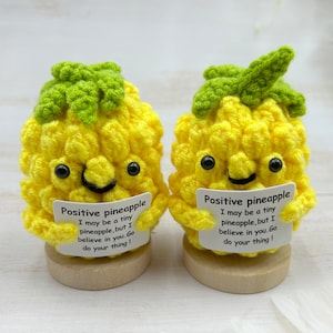 Bulk Sale Crochet Pineapple,positive Pineapple,mental Health Gift for Family/friends/team ...