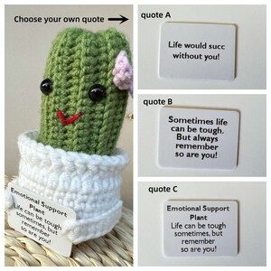 Handmade Crochet Succulent Plants,positive Back to School Gifts,custom ...