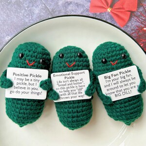 Emotional Support Pickle,positive Pickle,big Fan Pickle,handmade ...