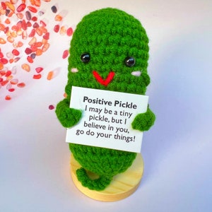 Bulk Sale Crochet Positive Pickles-mental Health Gift for Family/friends/team-you Are a Big Dill ...