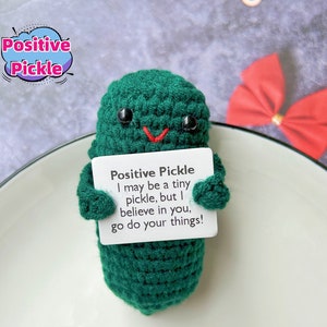 Emotional Support Pickle,positive Pickle,big Fan Pickle,handmade ...
