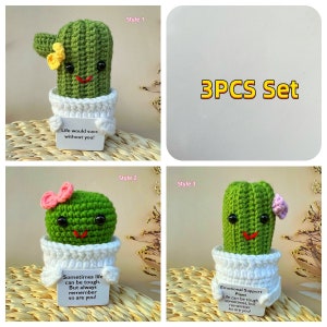 Handmade Crochet Succulent Plants,positive Back to School Gifts,custom ...
