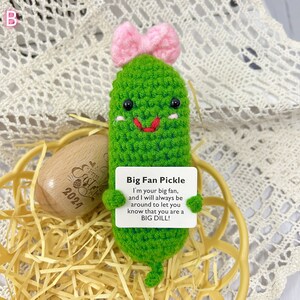 Handmade Crochet Pickles,emotional Support Pickle,positive Pickle,big ...