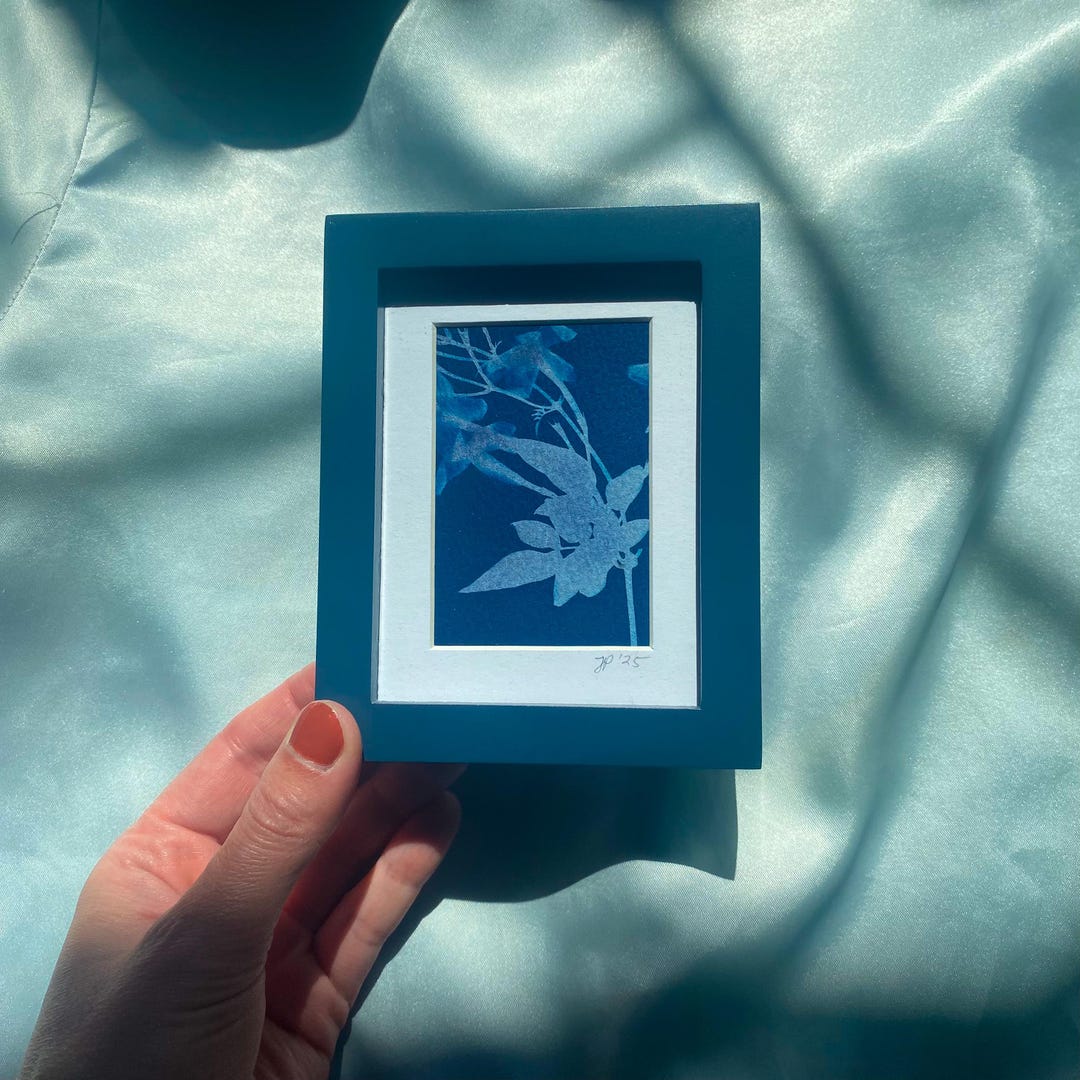 Mini Botanical Cyanotype Art Print, "baby Bluebells" - Etsy