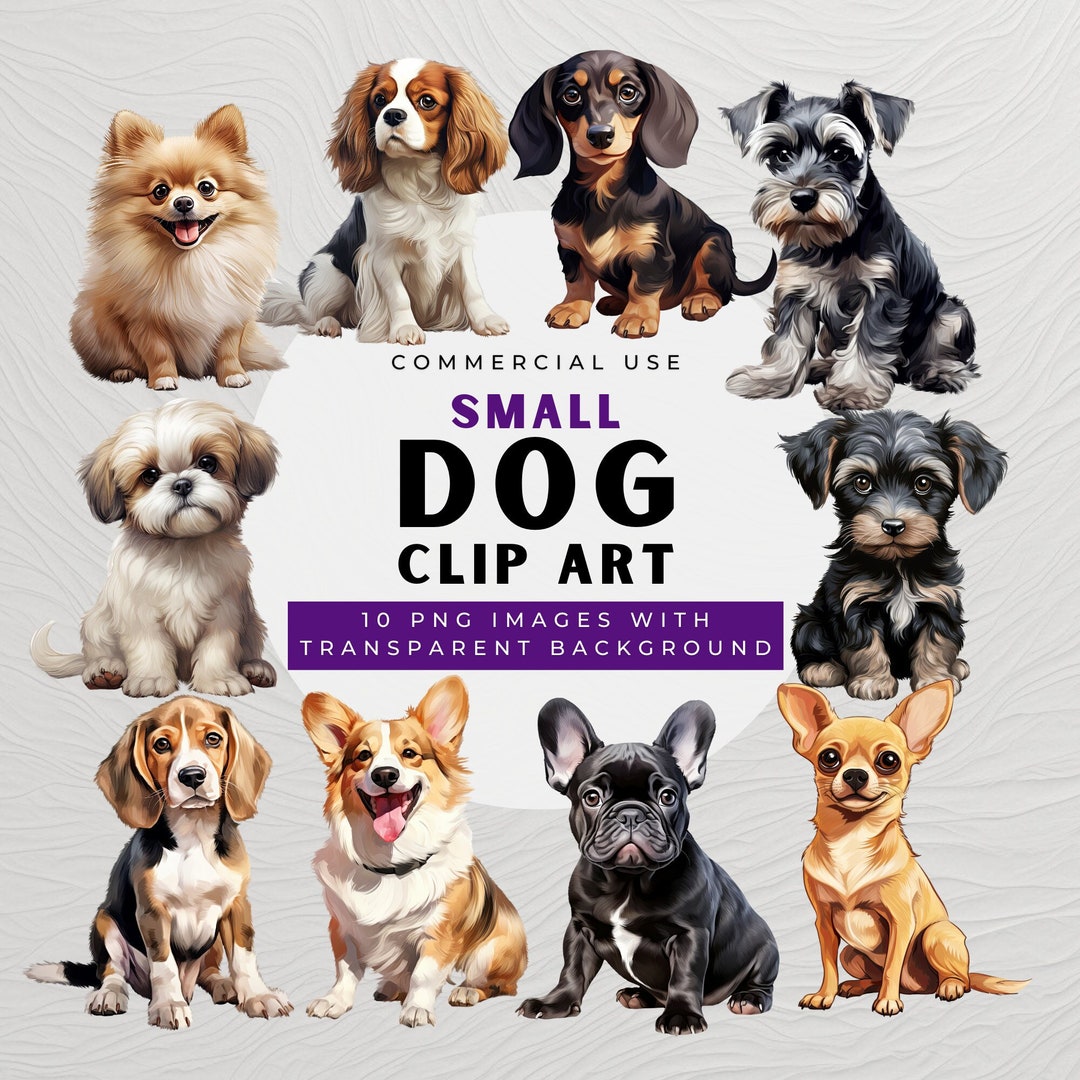 Small Dog Breeds Clip Art: Transparent PNG (digital Download) - Etsy