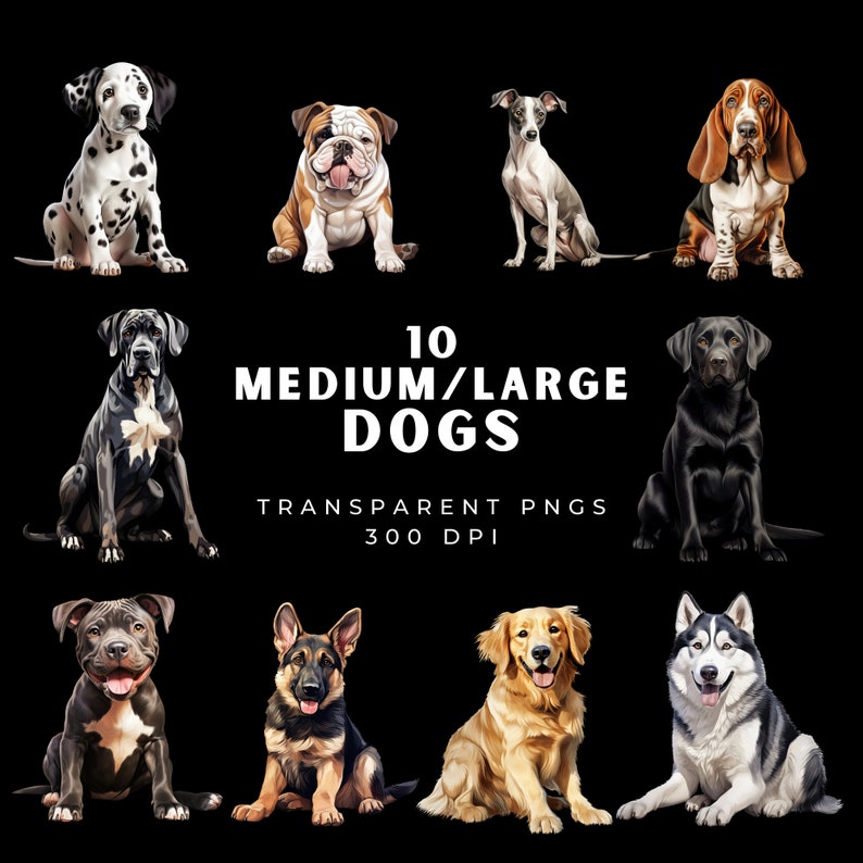 Dog Breeds Clip Art: Transparent Pngs of Medium to Large Dogs (digital ...