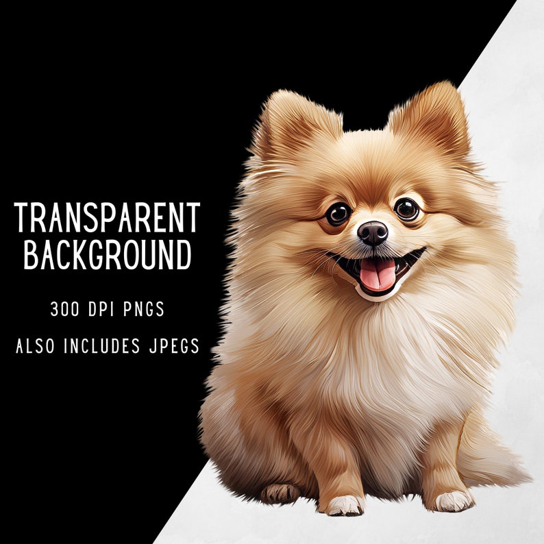 Small Dog Breeds Clip Art: Transparent PNG (digital Download) - Etsy