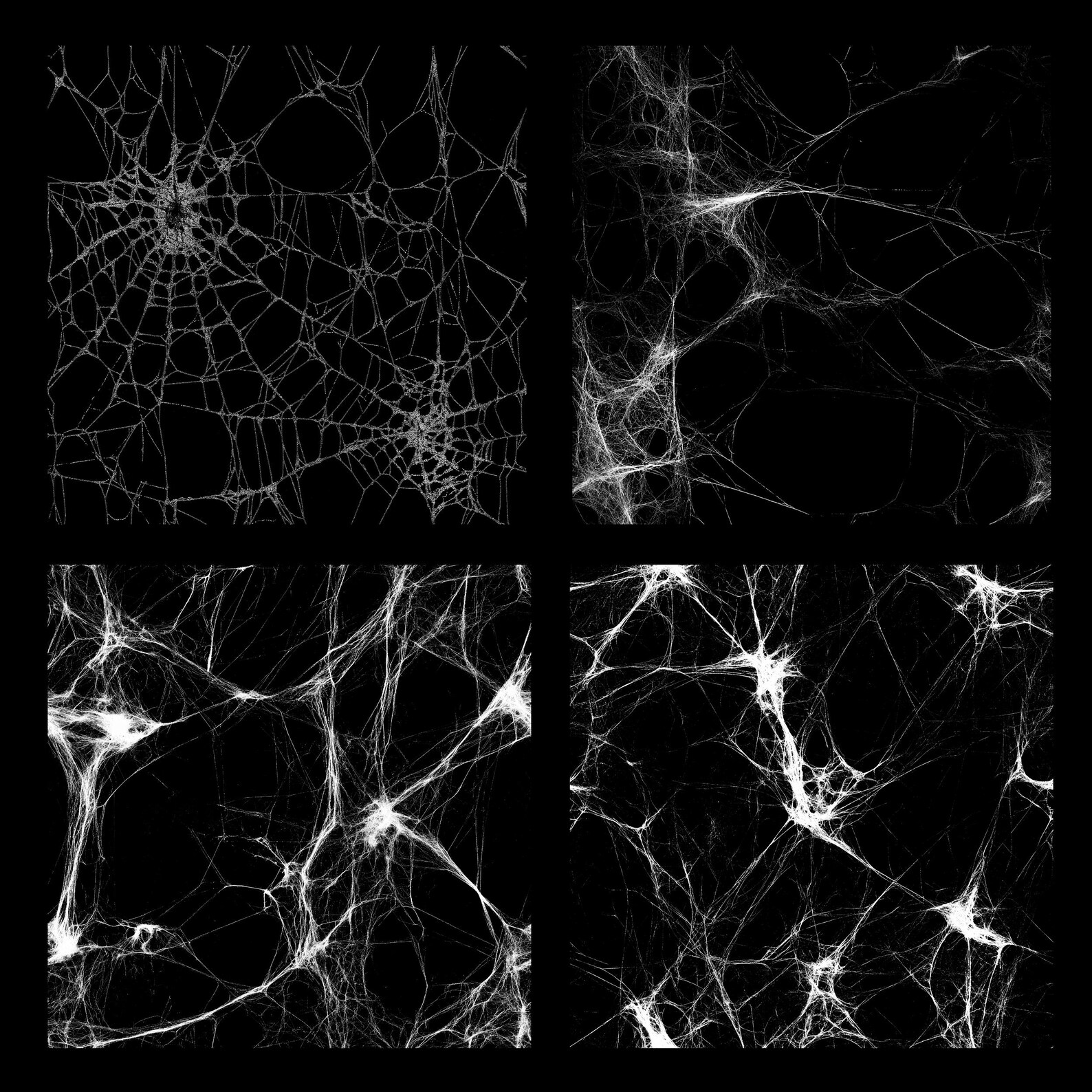 White Spider Web Overlays: 20 Seamless PNG Textures (digital Download ...