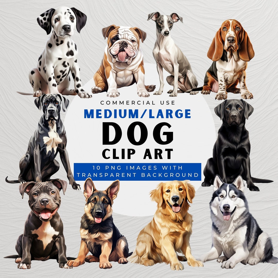 Dog Breeds Clip Art: Transparent Pngs of Medium to Large Dogs (digital ...