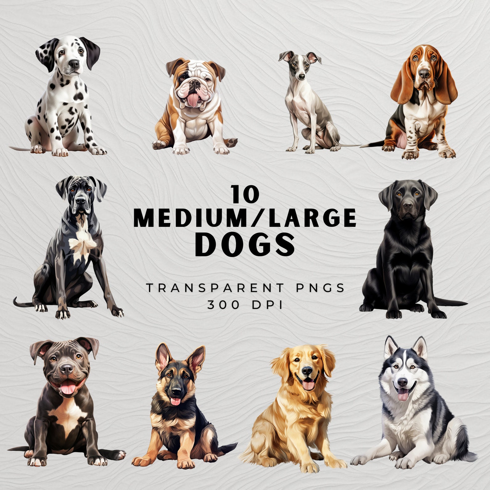 Dog Breeds Clip Art: Transparent Pngs of Medium to Large Dogs (digital ...