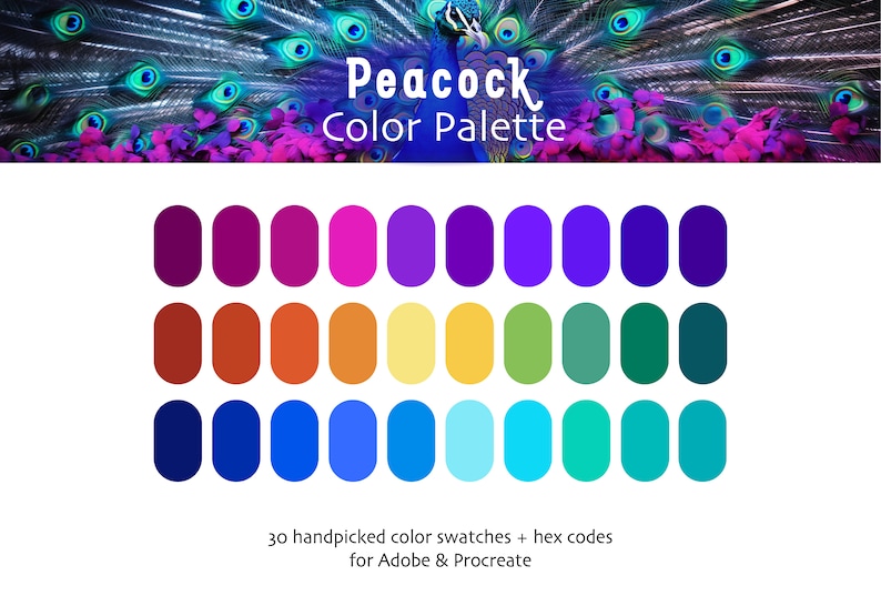 Peacock Digital Color Palette: 30 Bold and Vibrant Hues for Procreate ...