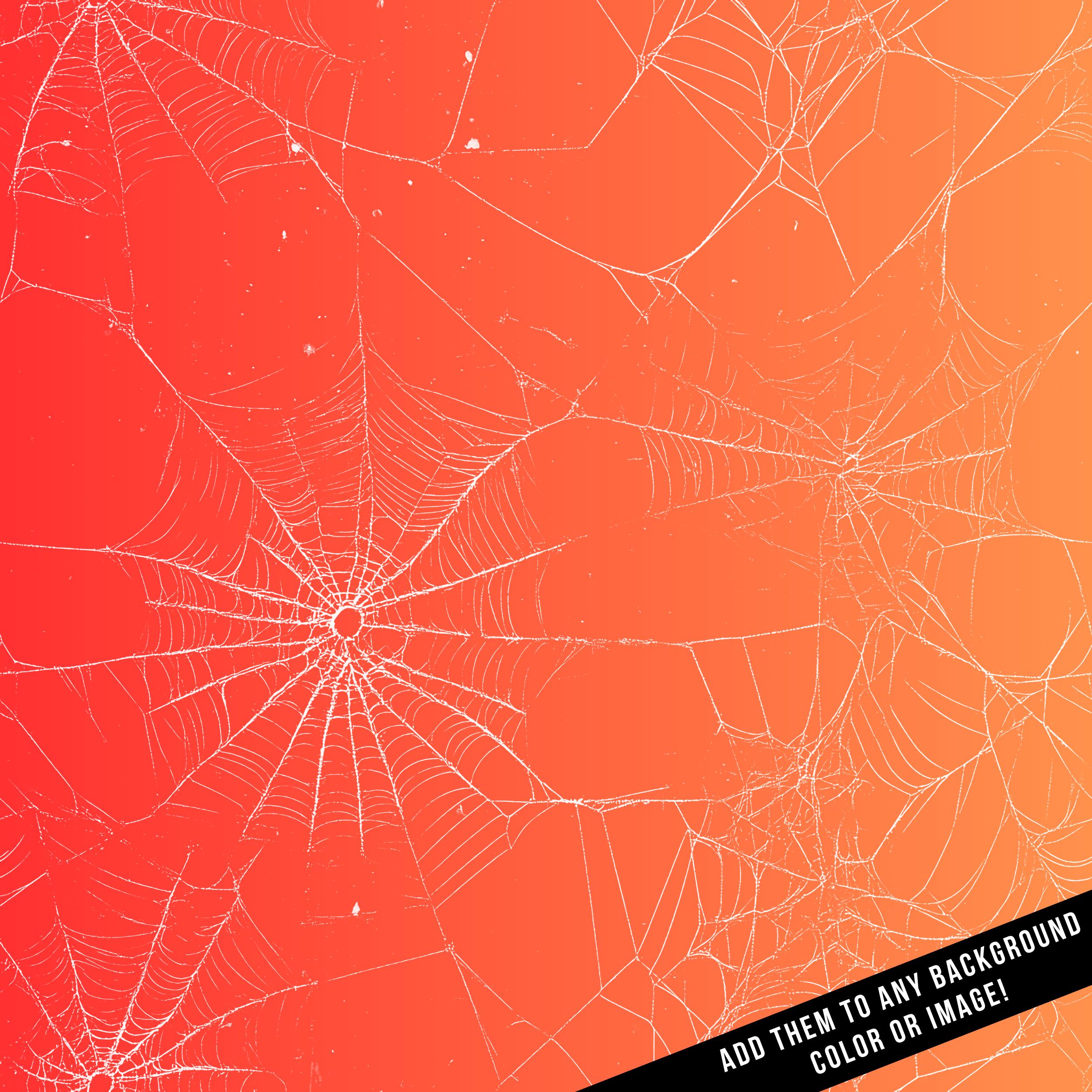 White Spider Web Overlays: 20 Seamless PNG Textures (digital Download ...