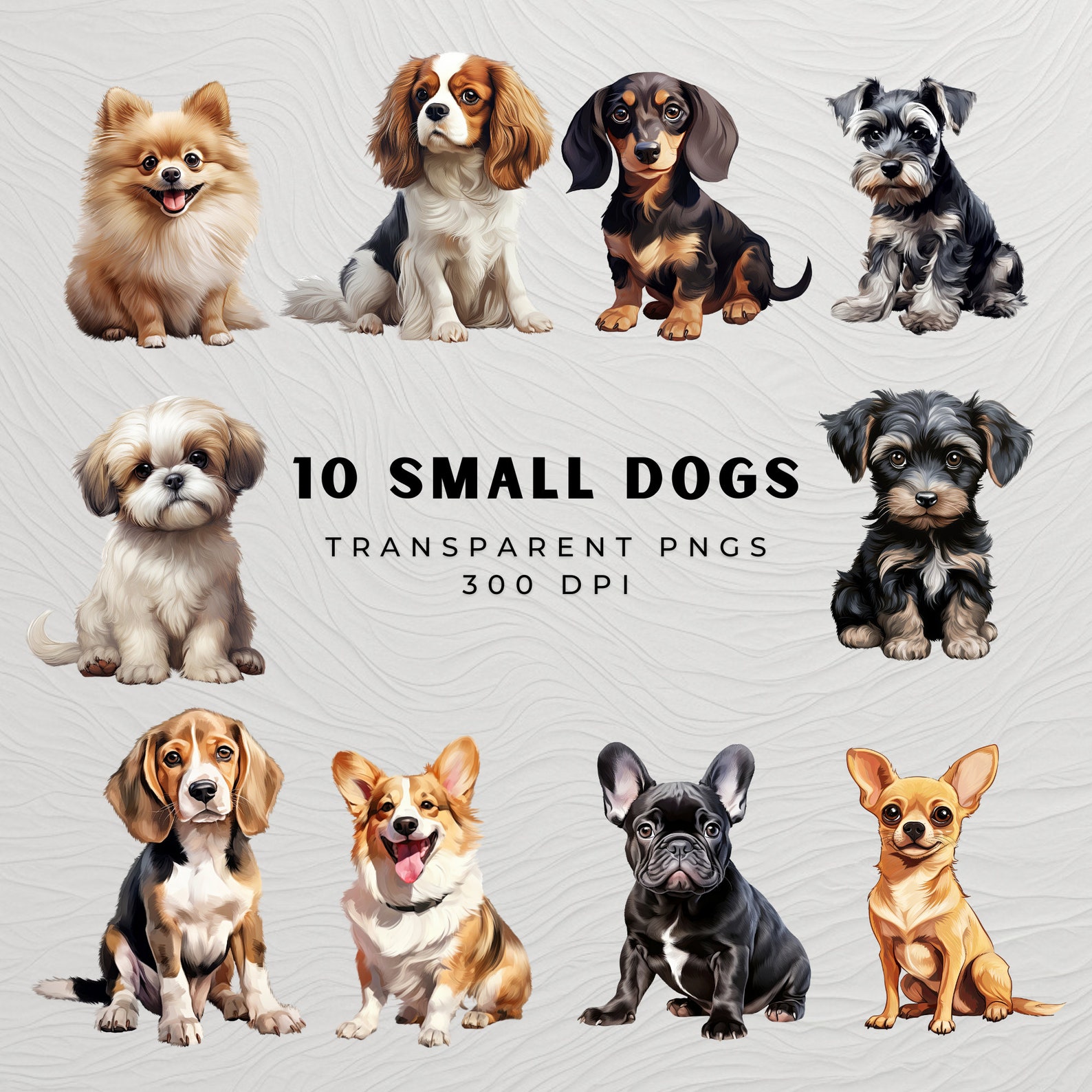 Small Dog Breeds Clip Art: Transparent PNG (digital Download) - Etsy