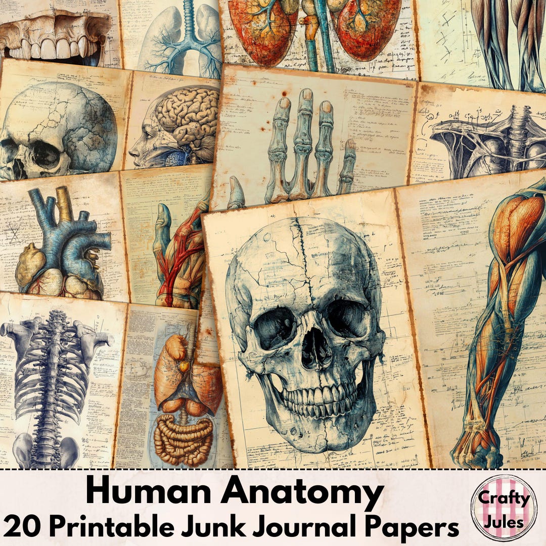 Human Anatomy Digital Junk Journal Papers – 20 Printable Pages for ...
