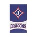 Jefferson Dragons 3' X 5' Team Profile Flag - Etsy