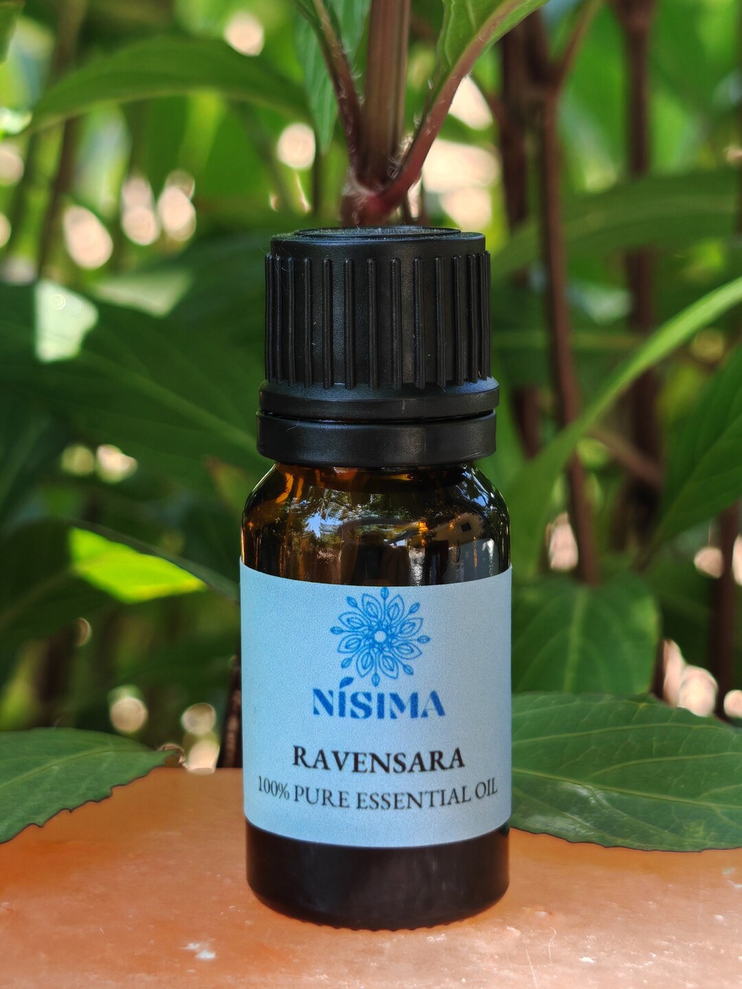 Ravensara NISIMA Essential Oil Ravensara Aromatica PURE ORGANIC - Etsy
