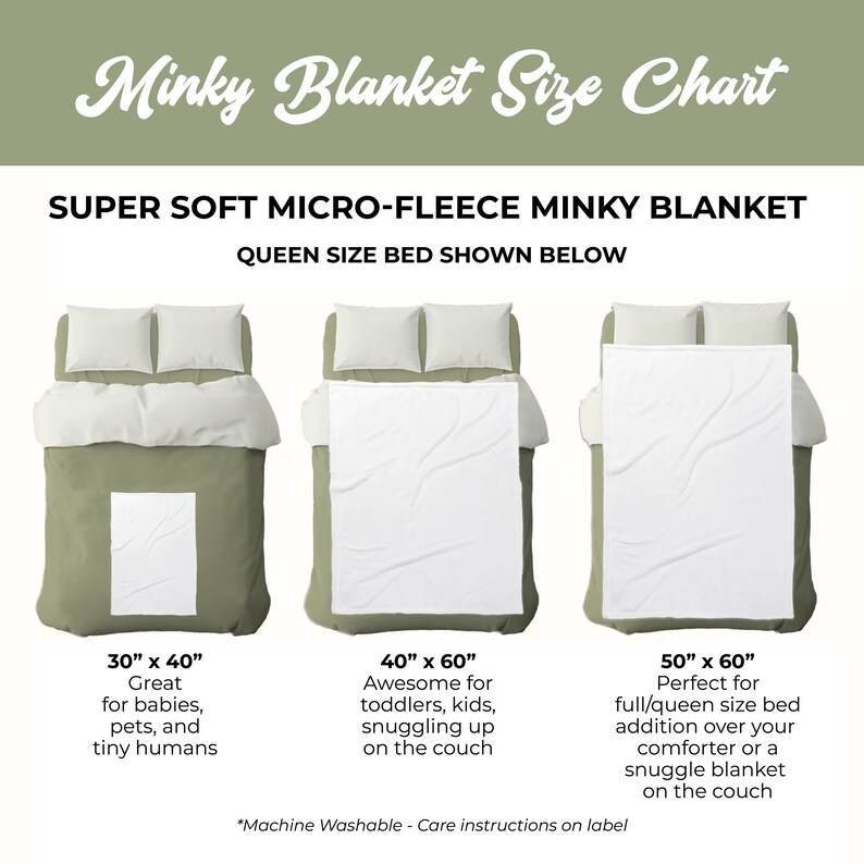 How Planes Fly A Technical Diagram Magic Red Velveteen Minky Blanket ...
