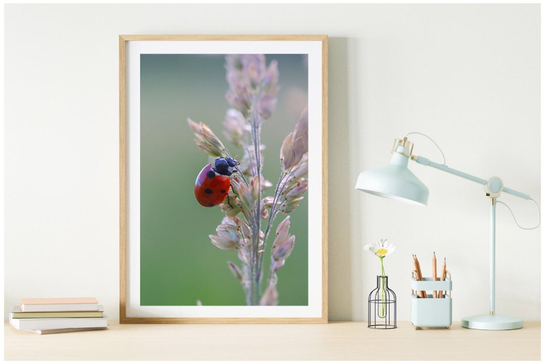 Ladybug in the Meadow, Printable Mural, a Lucky Charm as a Poster or ...