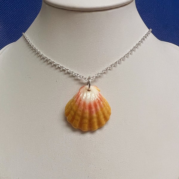 Sunrise Shell - Etsy
