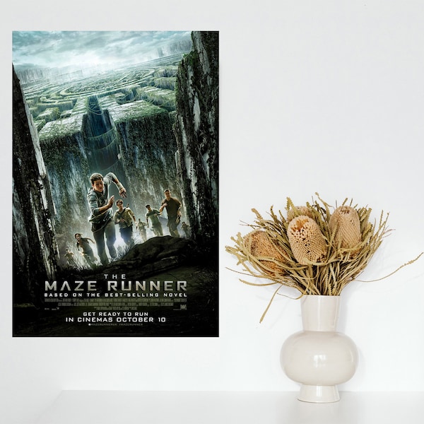 Maze Runner - Etsy