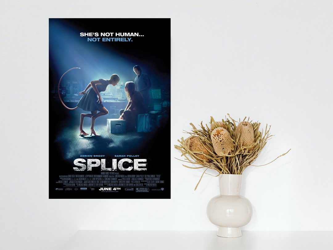 Splice Movie Poster 2023 Movie / Poster Gift / Bedroom Dormitory Wall ...