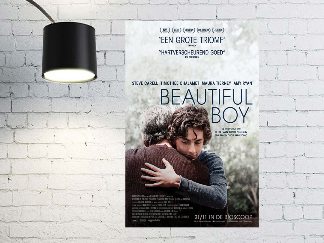 Beautiful Boy Movie Poster 2023 Film Room Decor Wall Art - Etsy