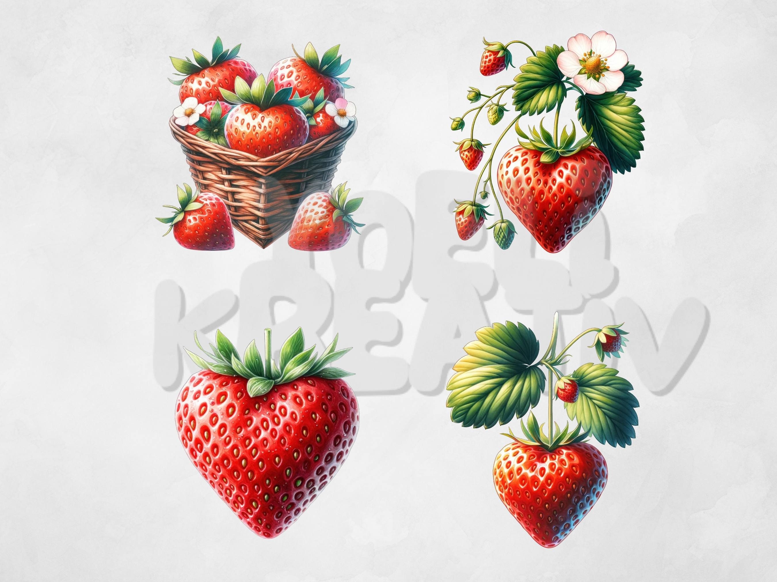 Strawberries Heart Clipart Watercolor Strawberries Clipart Valentine ...