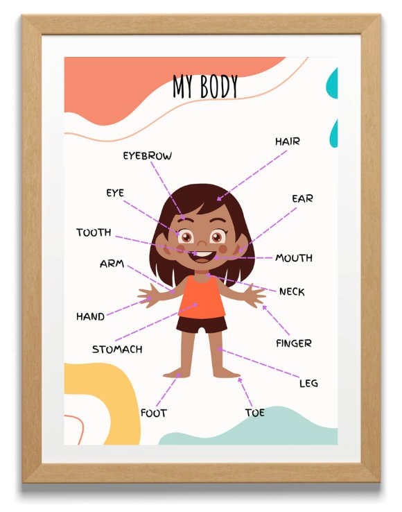 Girls My Body Printable Learning Tool Poster A3 - Etsy