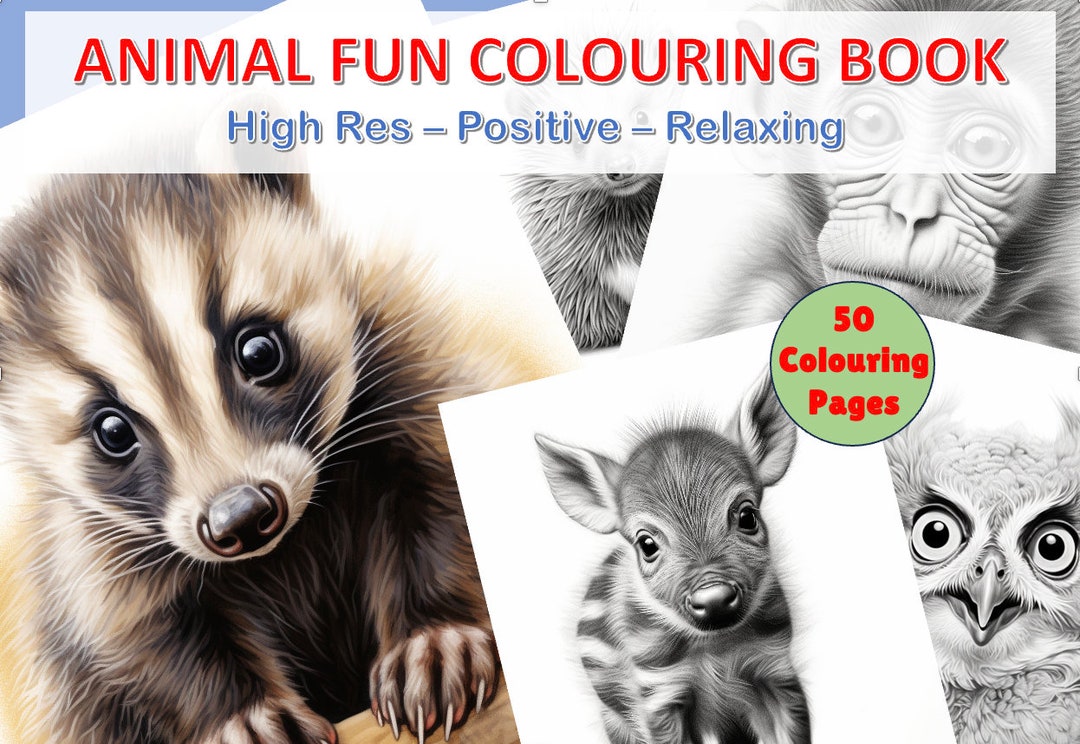 50 Animal Fun Coloring Pages for Adults and Kids, PDF Instant Download ...