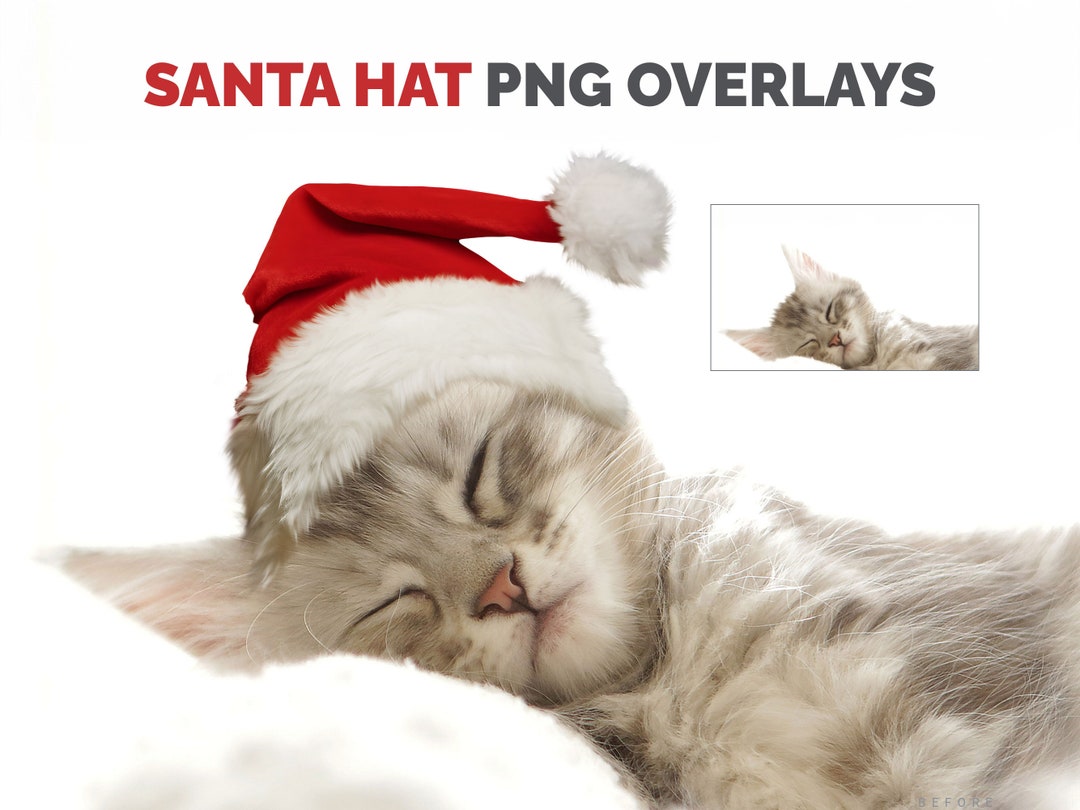 Realistic Santa Hat Overlays Add a Santa Hat to Your Photo Transparent ...