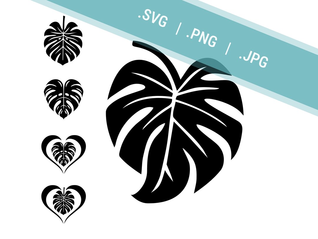 Heart Monstera SVG, PNG and JPG Files | Three Monstera Leaf Designs and ...