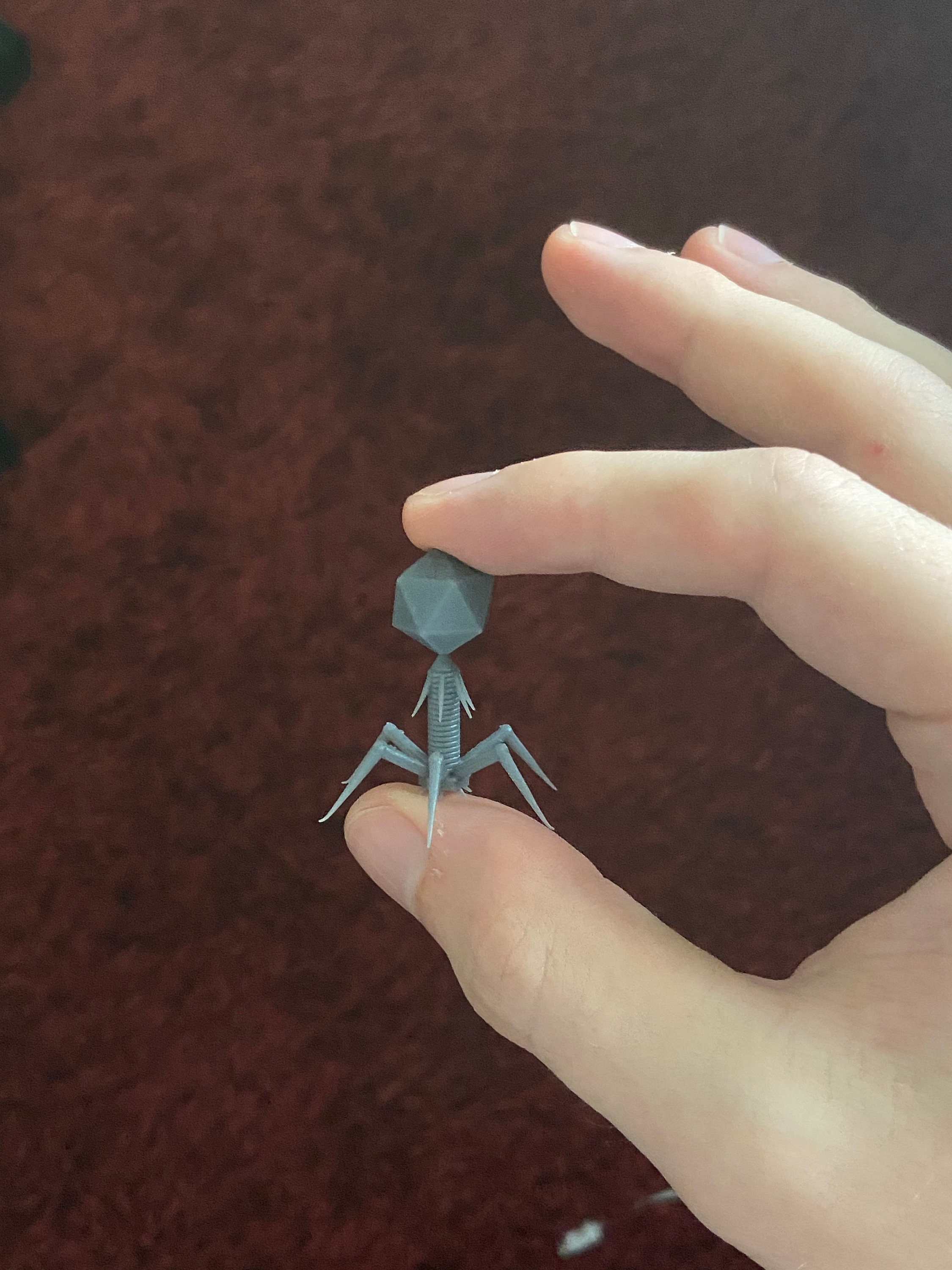 Bacteriophage T7 Realistic Model for Microbiology Fans Biotechnology ...