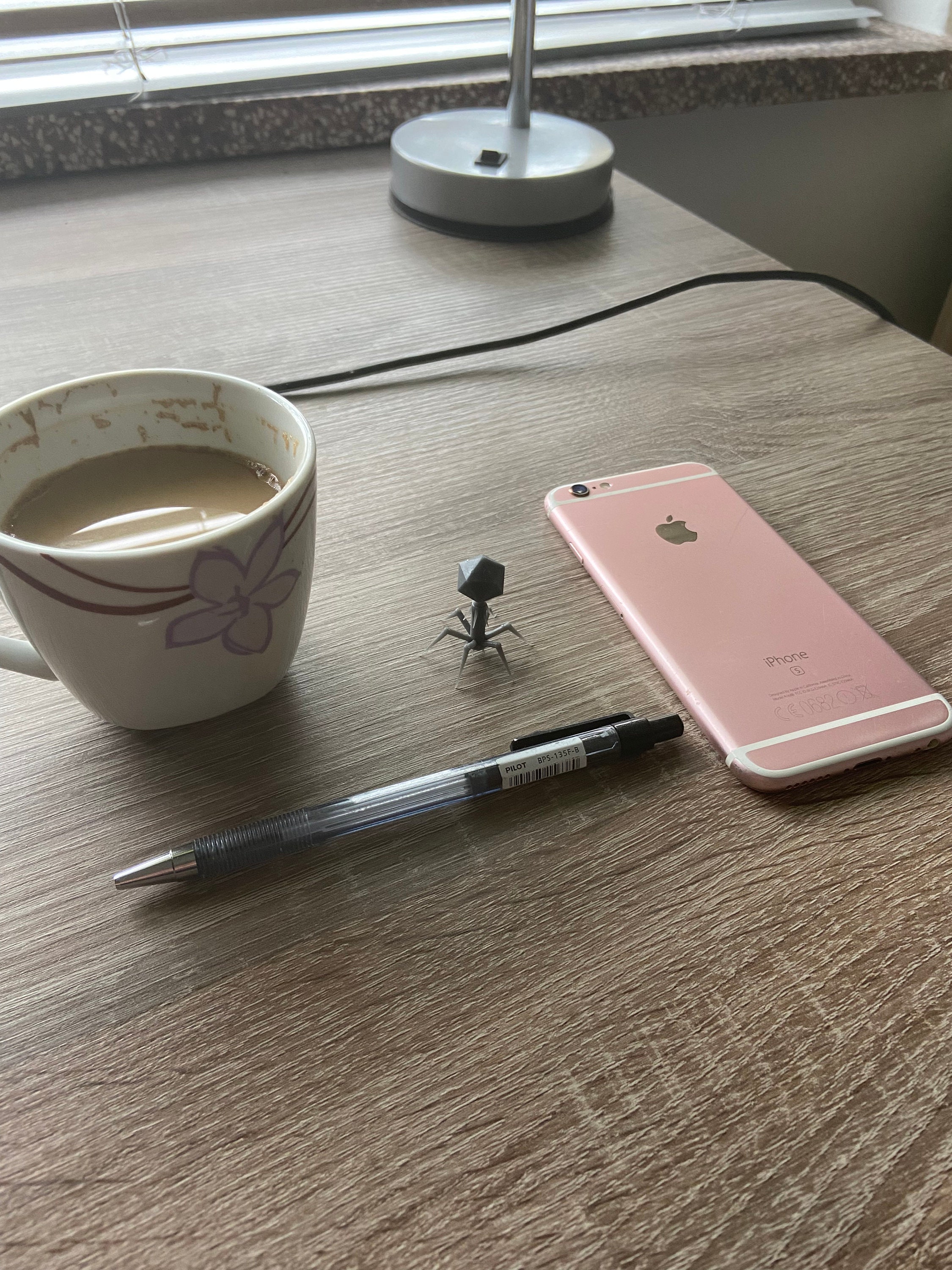 Bacteriophage T7 Realistic Model for Microbiology Fans Biotechnology ...