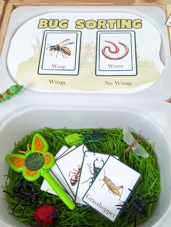 Bugs Printable Pack for Learning, Sensory Play, Flisat, Pretend Play - Etsy