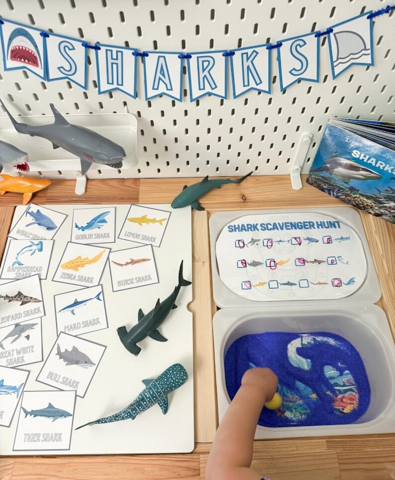 Sharks Flashcards, Search and Find, Sensory Activity Printable Pack - Etsy