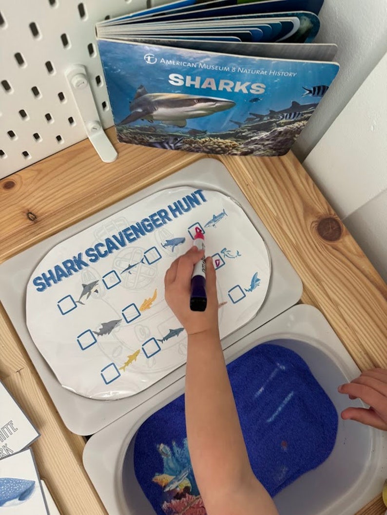 Sharks Flashcards, Search and Find, Sensory Activity Printable Pack - Etsy