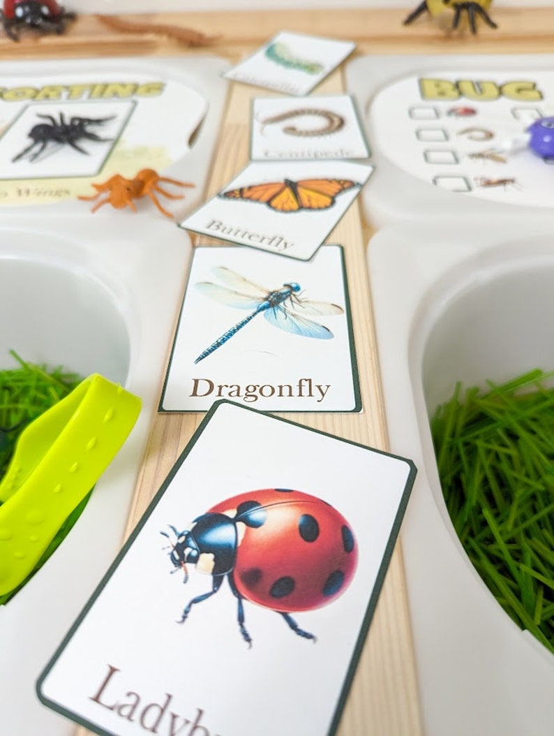 Bugs Printable Pack for Learning, Sensory Play, Flisat, Pretend Play - Etsy