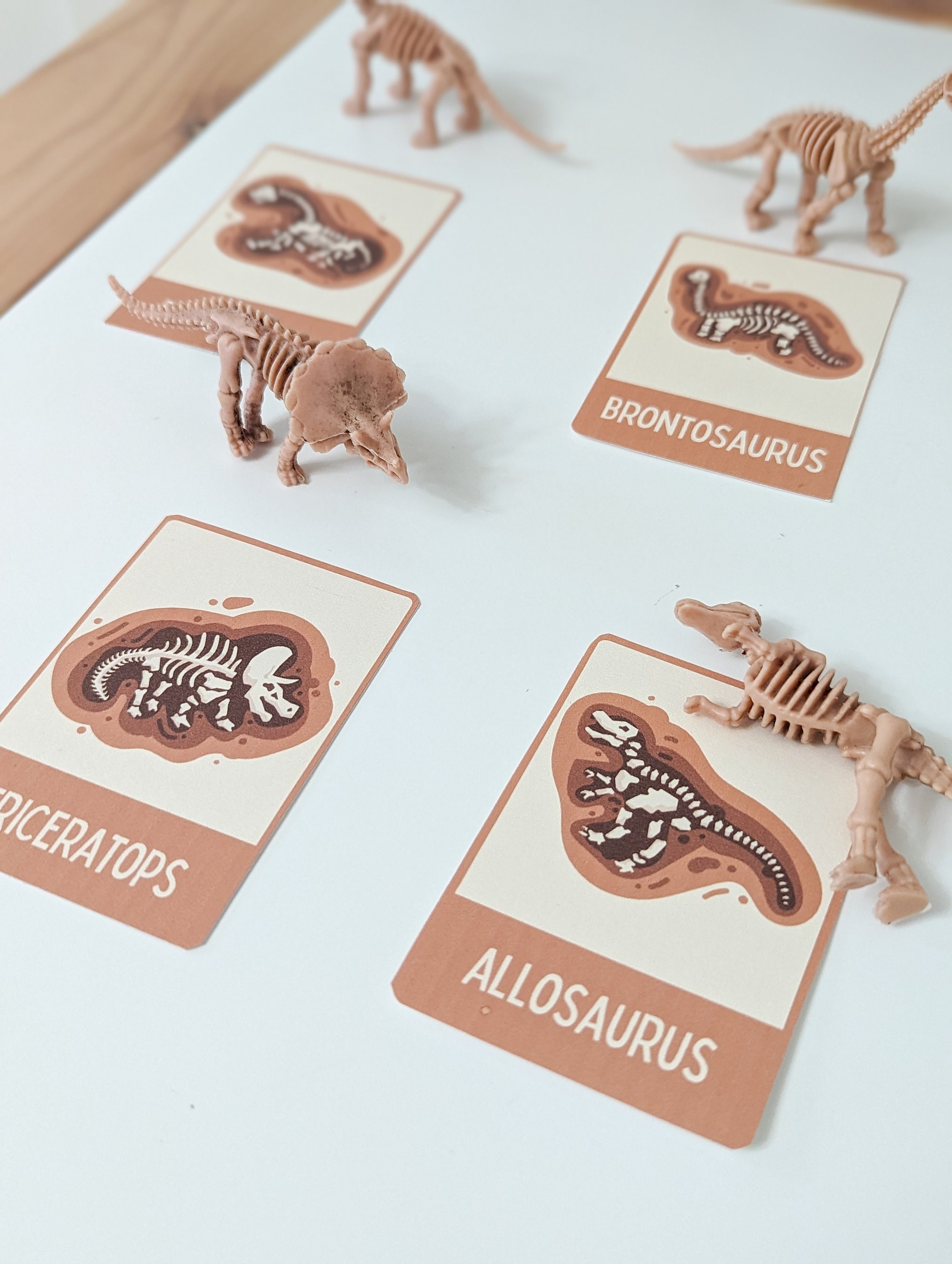 Dino Dig Flisat Insert Printables & Flashcards - Etsy