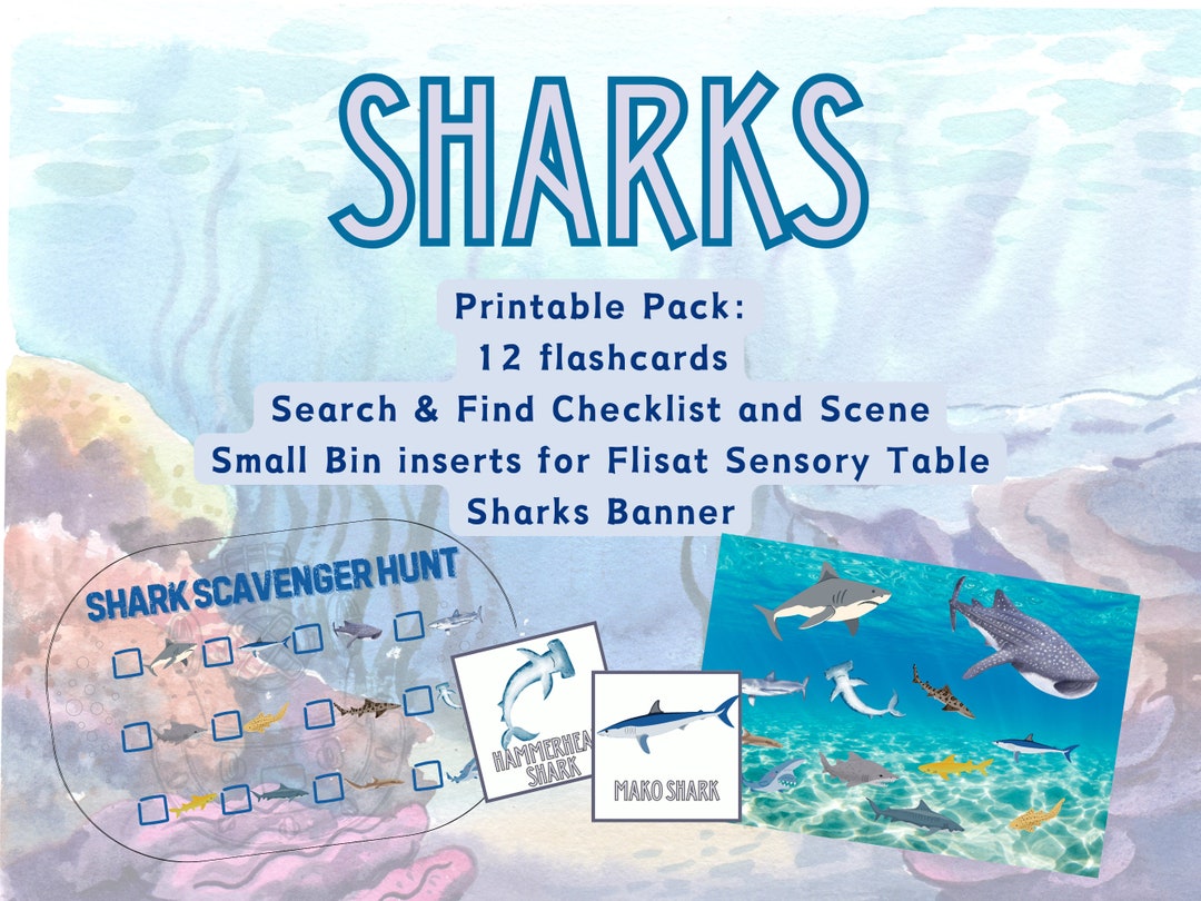 Sharks Flashcards, Search and Find, Sensory Activity Printable Pack - Etsy
