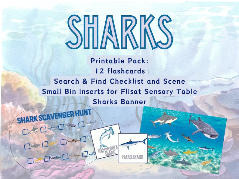 Sharks Flashcards, Search and Find, Sensory Activity Printable Pack - Etsy