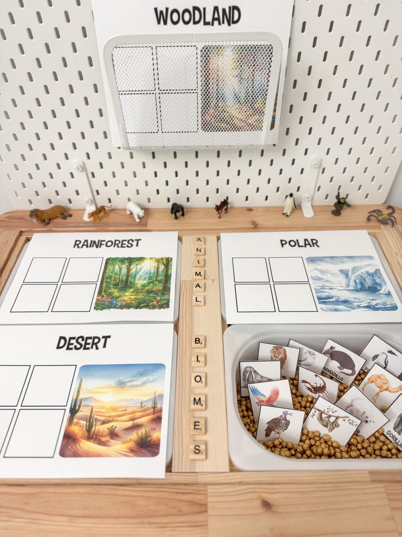 Animal Habitats Mat and Card Sorting Printable Set - Etsy
