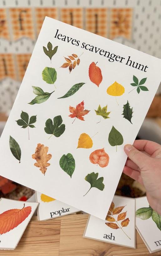 Leaves Flashcards Printable Set - Etsy