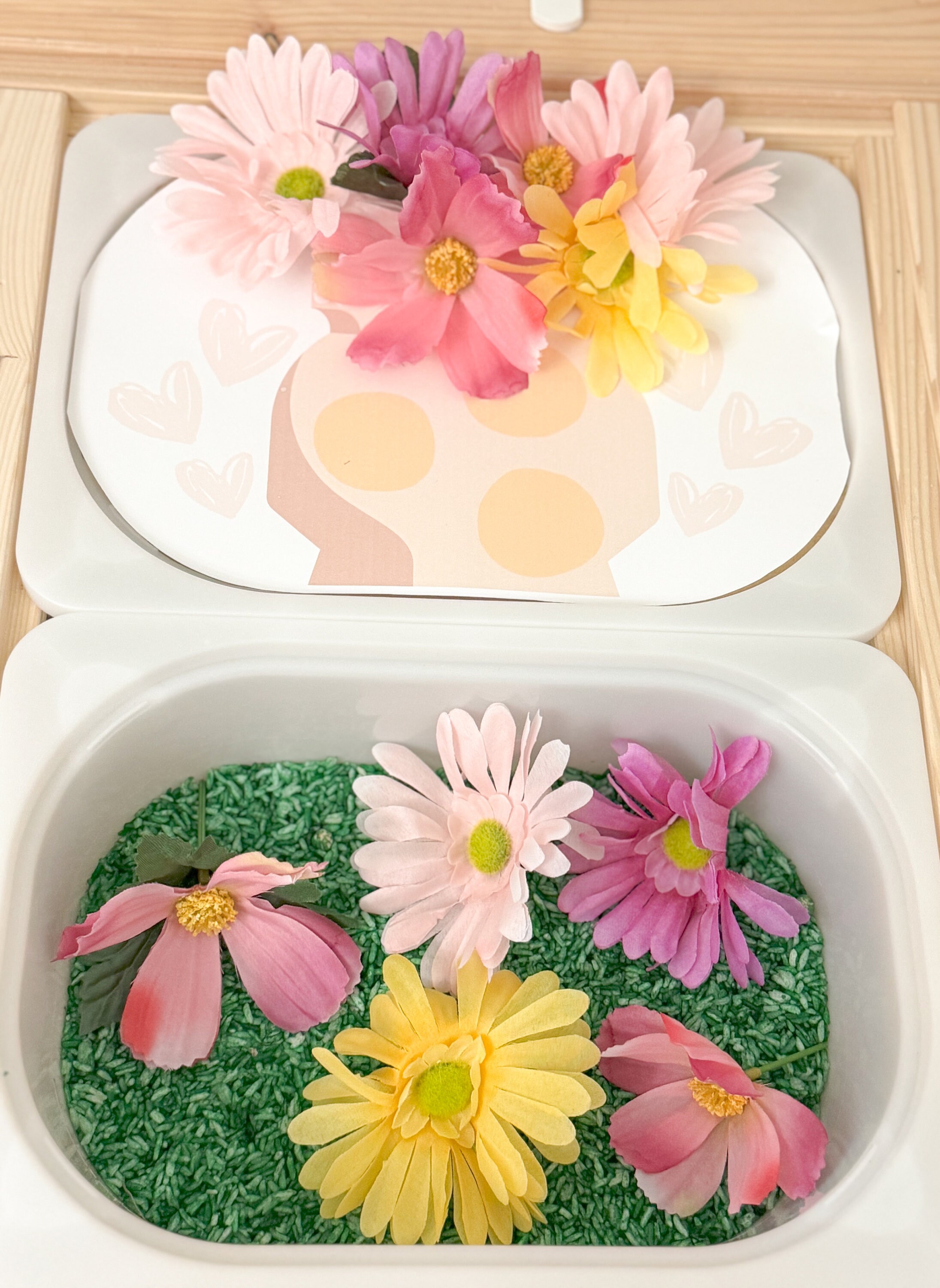 Birth Month Flowers Printable Pack - Etsy